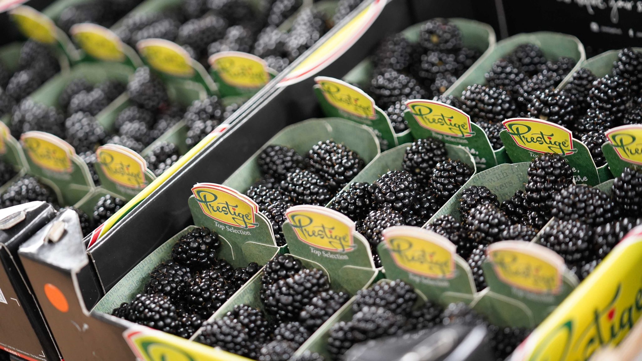 PRODUCE - Premier Foods Wholesale | Leading Food Catering Wholesaler ...