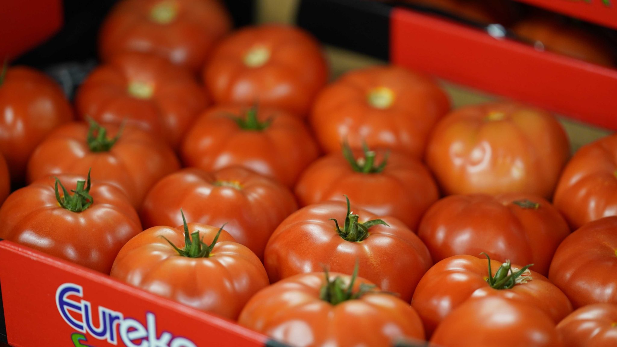 PRODUCE - Premier Foods Wholesale | Leading Food Catering Wholesaler ...